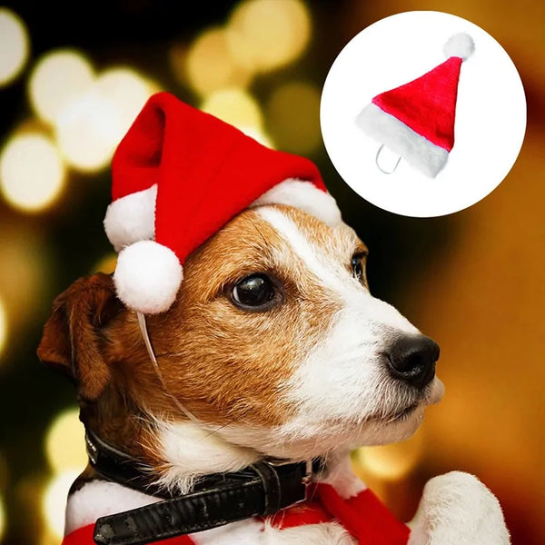 Christmas Pet Santa Hat – Festivano